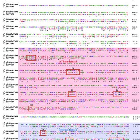 a sequence alignment of the full length pfpsh1 with its ortholog download scientific diagram