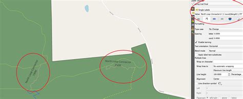 In QGIS How Can I Customize The Label On A Specific Feature Within A
