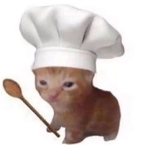 Cute Chef Cat In 2023 Cat Memes Silly Cats Silly Cats Pictures
