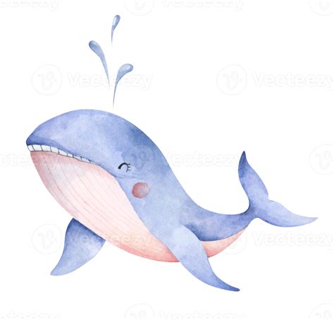 linda baleia azul arte animal subaquática ilustração em aquarela