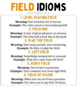 Field Idioms With Meaning And Examples Engdic
