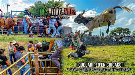 QUÉ JARIPEO EN CHICAGO FUE UNA TRA4GEDA LA MONTA RAYITO A GRAPA