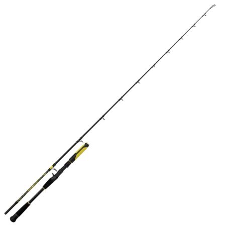 Canne Casting Black Cat Perfect Passion Allstar Leurre de la pêche