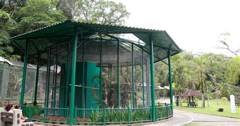 30 anos de existência Zoobotânico de Joinville passa por revitalização