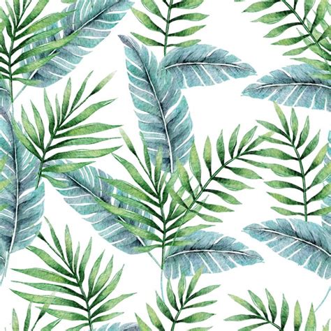 Botánica tropical hojas de palma acuarela dibujo de patrones sin