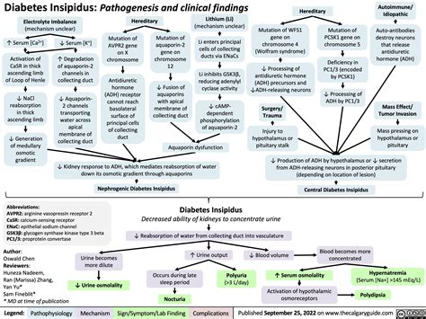 Diabetes Insipidus Pathogenesis And Clinical Findings Calgary Guide