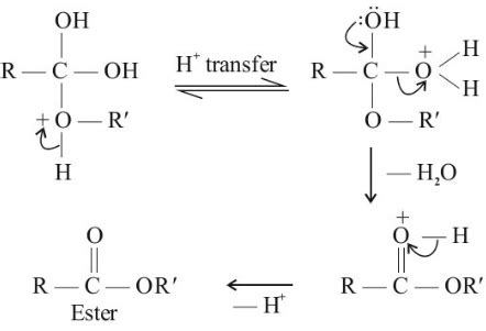 What Is Esterification Explain With Mechanism Taking The Example Of