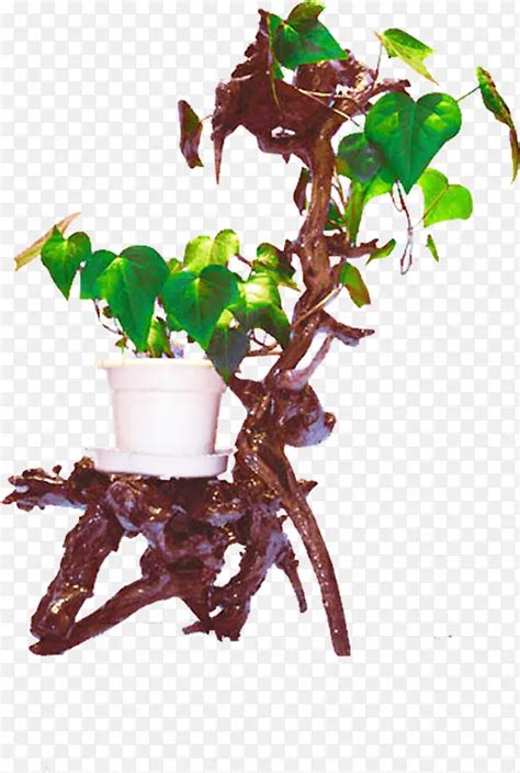 创意合成绿色的草本植物效果景观PNG图片素材下载 图片编号qzkbkxjk 免抠素材网