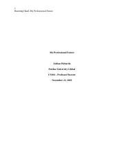 CS204 Unit 9 Assignment Docx 1 Running Head My Professional Future