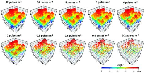 a 3d illustration of airborne lidar pulse density reduction at the plot download scientific
