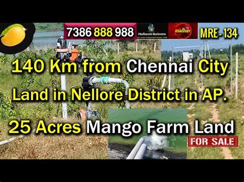 Acres Mango Farm Land For Sale Km From Chennai City Nellore