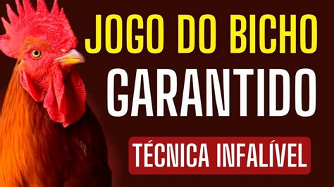 Como Ganhar Sempre Jogo Do Bicho Melhor Forma Para Ganhar No Jogo Do