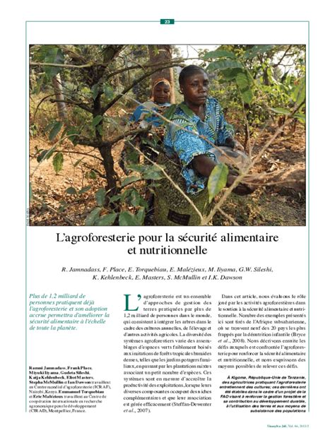 Remplissable En Ligne Agritrop Cirad Unasylva 241 Les Forts Pour La