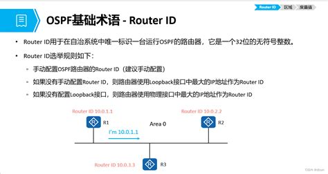 ospf基础 ipv6 ospf csdn博客