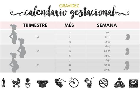 Calcular Meses A Semanas