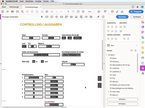 PDF Formular erstellen Ausfüllbar interaktiv in Word InDesign