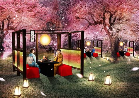 感動世界遺産二条城で夜桜を楽しむNAKED 桜まつり開催 何この世界観 素敵すぎる夜桜見に行くぞーと話題 マイナビニュース