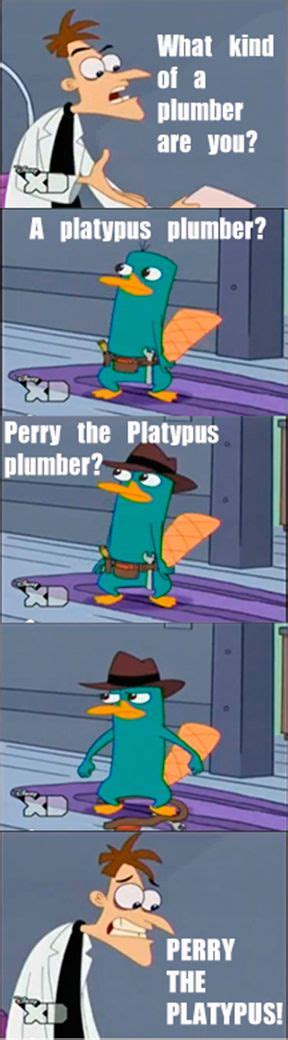 Dr Doofenshmirtz And Perry The Platypus Disney Funny Phineas And Ferb Phineas And Ferb Memes