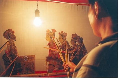 Teatro De Sombras Chinesas
