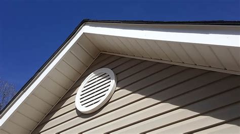 How Do Squirrels Get Into Attics Everything You Need To Know House