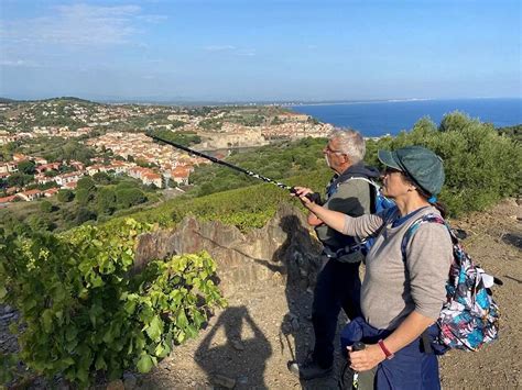 Les dégustations de vin et balades vigneronnes Collioure Tourisme