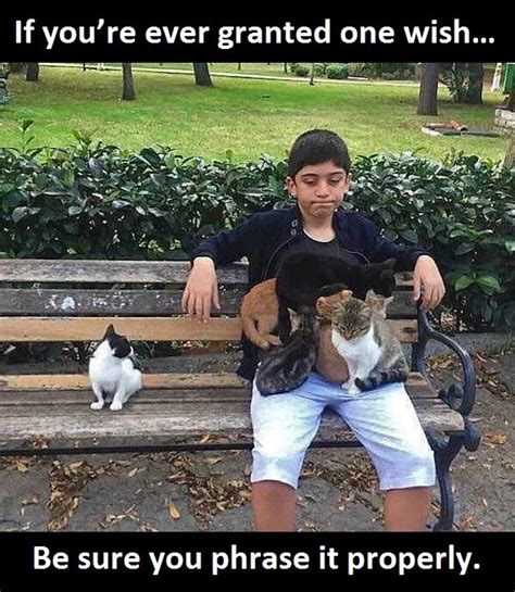 Pussy Meme