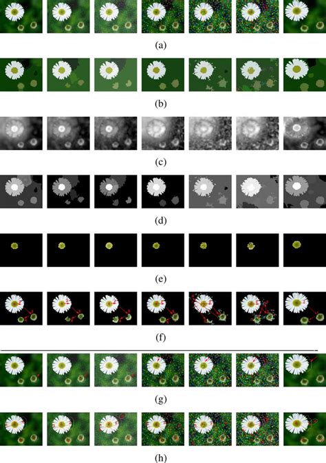 attentional selection of the proposed oba model and itti s space based download scientific