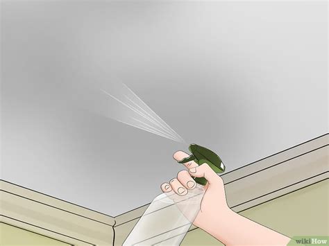 Cómo limpiar el techo 10 Pasos con imágenes wikiHow