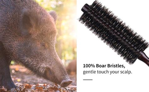Brosse à cheveux ronde en poils de sanglier brosse ç cheveux avec