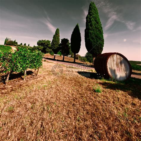 Chianti