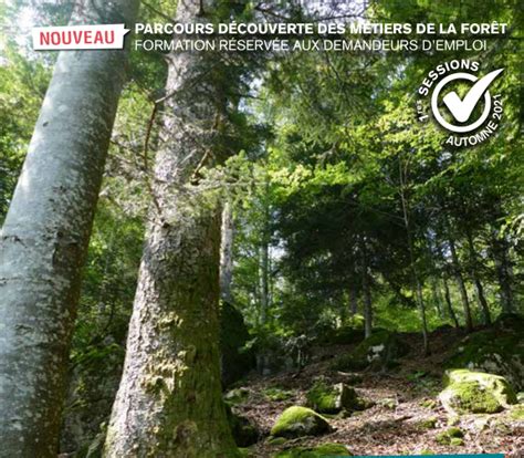 Découverte des métiers de la forêt Formation courte