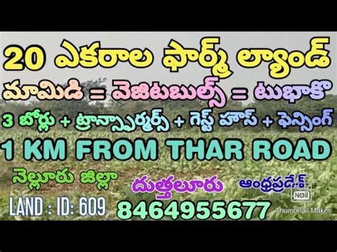 22 ACRES OF FARM LAND FOR SALE NELLORE DT DUTTALUR AP PH NO