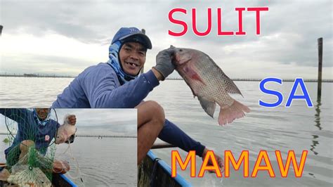SULIT ANG PAG LIPAT NG PANTI SA LAOT O LAMBAT NAKAHULI NG MAMAW NA