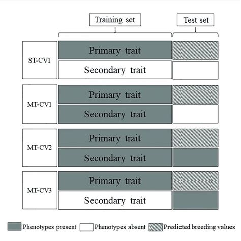 cross validation schemes employed for single trait st and download scientific diagram
