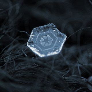 Stunning Snowflake Photos You Wont Believe Were Taken By An Amateur