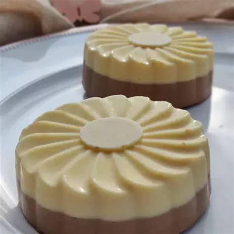 Entremets Chocolat Au Lait Passion Guy Demarle