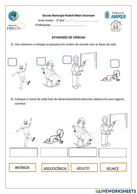 Fases Da Vida Humana Interactive Worksheet Online Activities School
