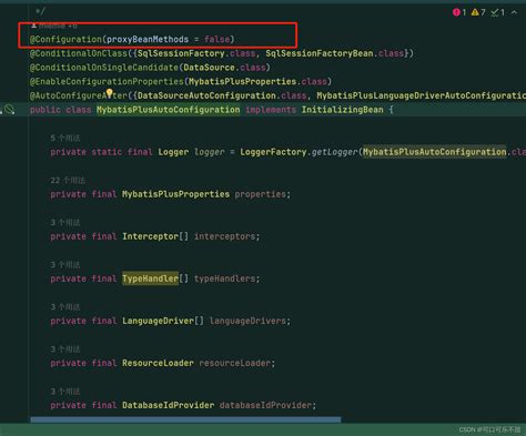 mybatisplus springboot启动过程源码分析 mybatisplus启动原理 csdn博客