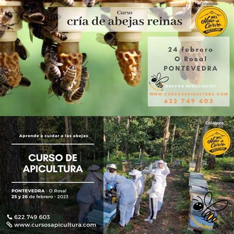 Curso de Cría de abejas reinas e Iniciación a la Apicultura en el mes