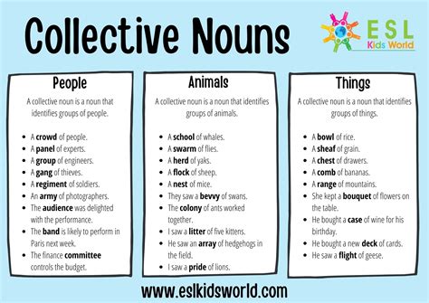 Collective Nouns Examples Nehru Memorial