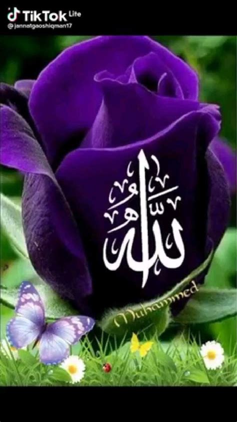 Pin by Hadeel Qasim on مرات الحفظ السريع Rose flower wallpaper Allah