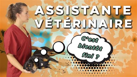 Auxiliaire vétérinaire le rôle essentiel des ASV YouTube