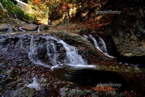 Photolibrary