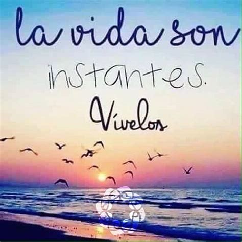 Reflexiones De La Vida Con Frases Cortas Im Genes Totales