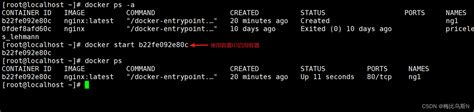 docker的容器管理操作 docker start 容器编号 csdn博客