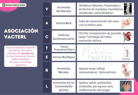 Asociación Vacterl CLAUDIA MERCEDES PAZ MATELLINI uDocz
