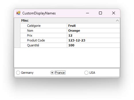 GitHub DevExpress Examples Winforms Propertygrid Localize Property