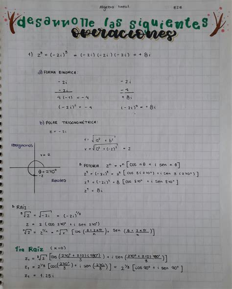 SOLUTION Ejercicios De Pr Ctica Numeros Complejos Binomica Exponencial
