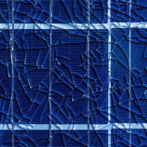 Agrivoltaic Solar Farms Offer Shocking Benefits Beyond Producing
