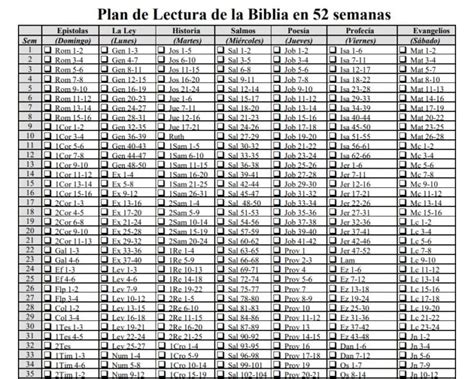 Año bíblico 2024 8 planes para leer la biblia en un año